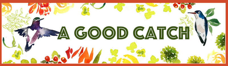 Products – agoodcatch